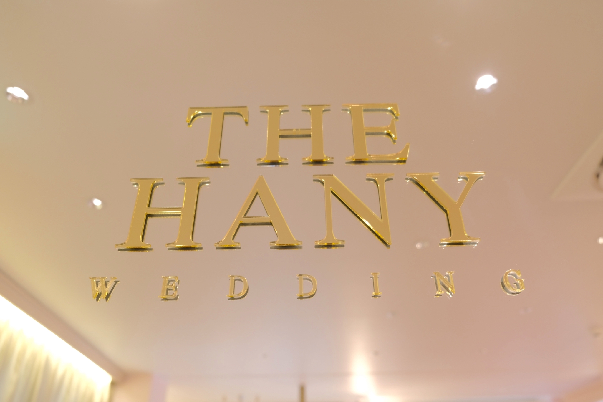 THE HANYの最新ドレスを紹介します | DRESSY【公式】ウェディングドレス・ファッション・エンタメニュース